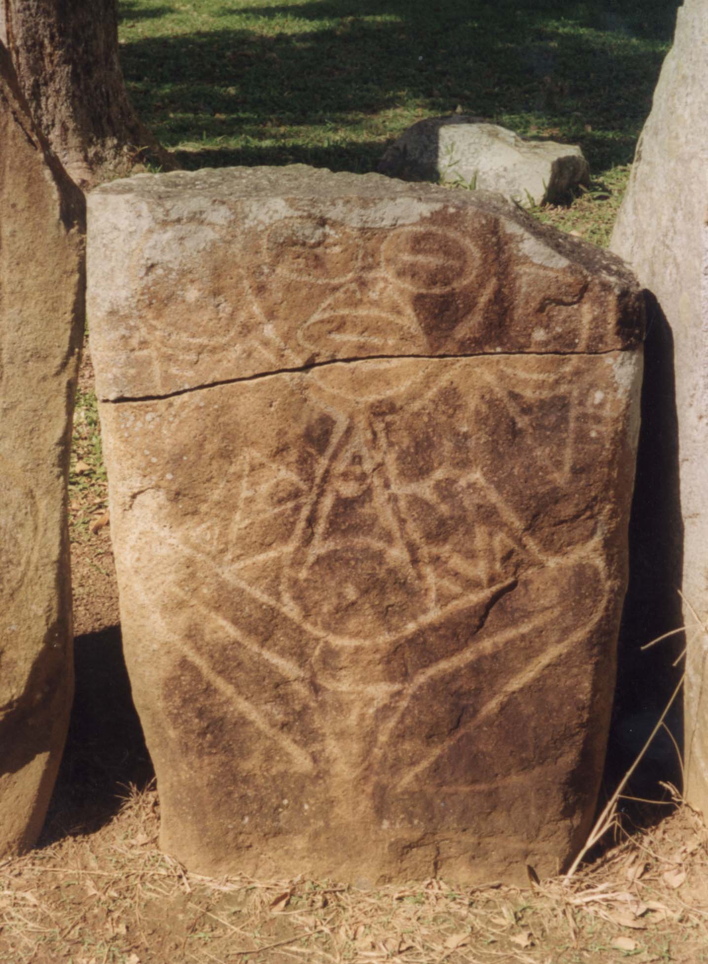 We live in Arecibo, Puerto Rico